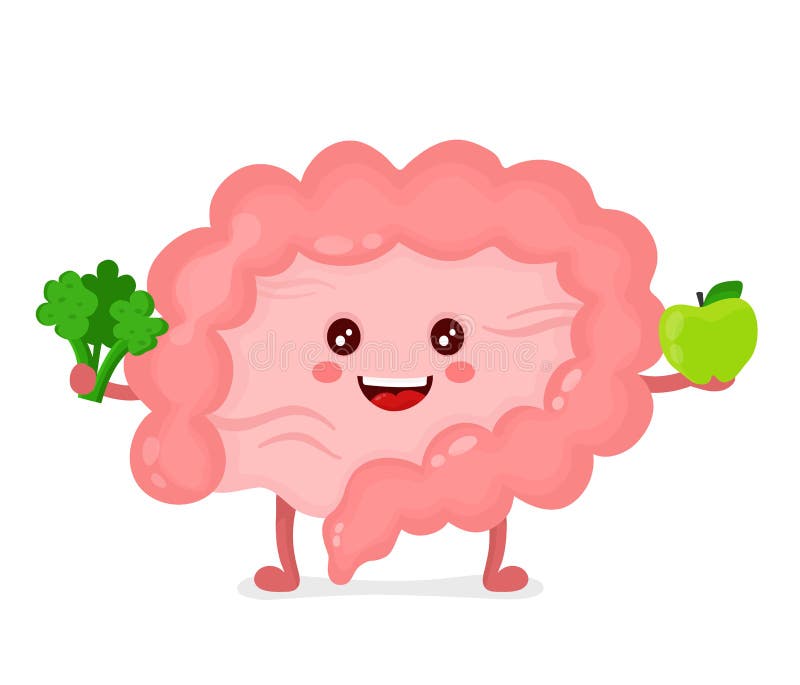 Strong Healthy Happy Intestine Character Stock Vector - Illustration of ... Strong Healthy Happy Intestine Character Stock Vector - Illustration of ...