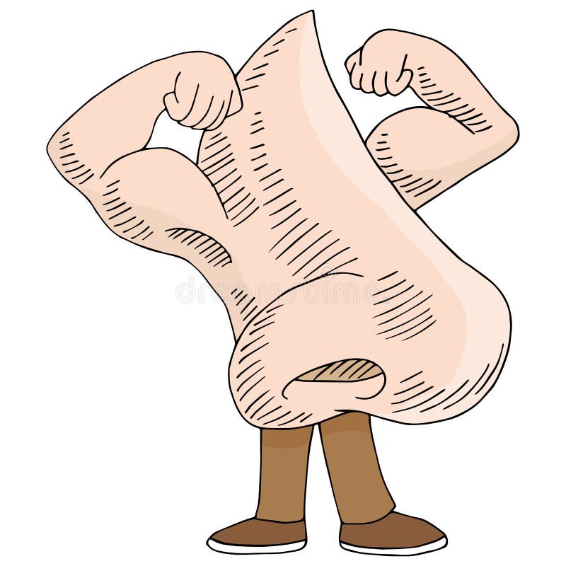 Strong Healthy Nose stock vector. Illustration of health - 48748549