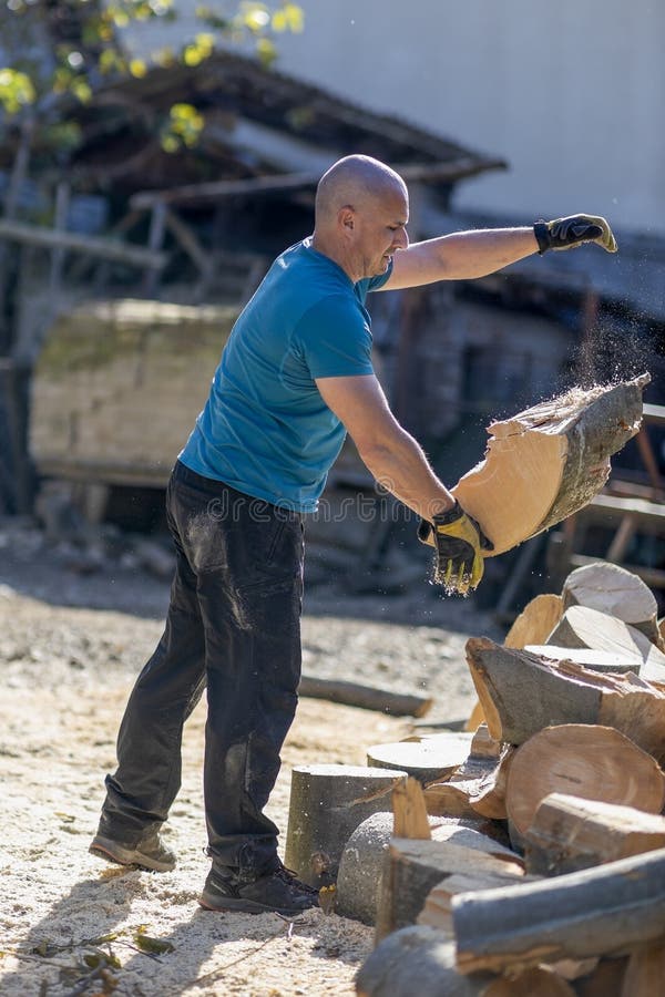 Lumberjack Carrying a Big Beech Log To Split Stock Photo - Image of ...