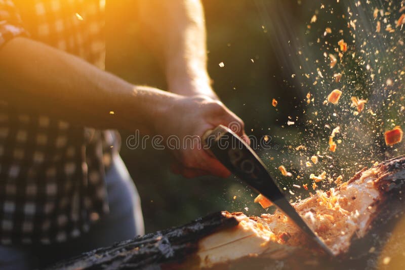 Lumberjack Chopping Wood. Young Man Chopping Woods with an Axe Stock ...