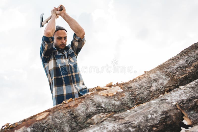 Strong Lumberjack Holds Ax with Both Hands and Cuts Large Tree, Stock ...