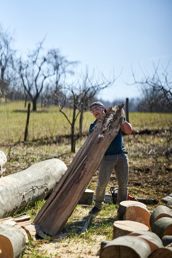 935 Moving Logs Stock Photos - Free & Royalty-Free Stock Photos from ...