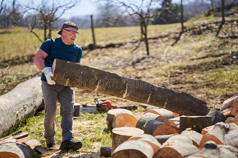 Strong Lumberjack Moving Logs Stock Image - Image of hand, logger ...