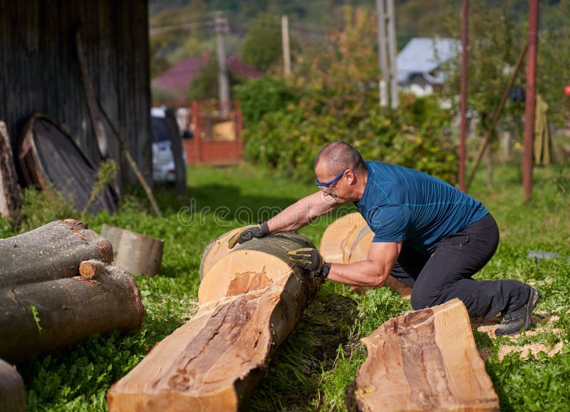 Strong Lumberjack Handling The Logs Stock Photo - Image of wood ...