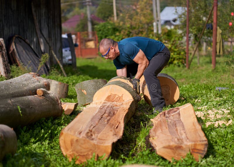 Strong Lumberjack Handling the Logs Stock Photo - Image of natural ...