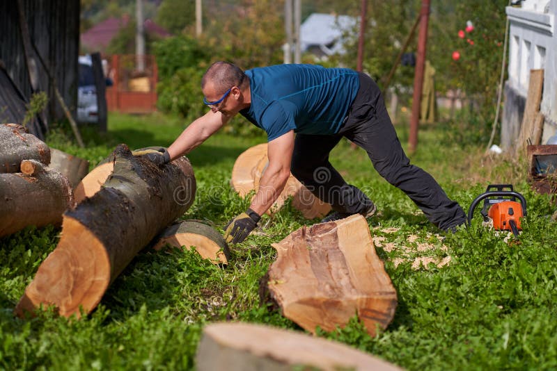 Strong Lumberjack Handling the Logs Stock Photo - Image of outdoors ...