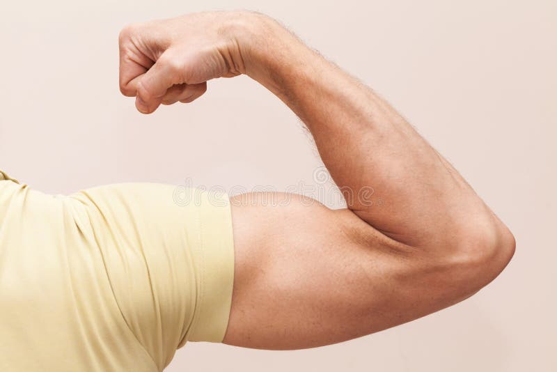Strong Male Arm Shows Biceps Stock Photo - Image of fist, hand: 41239896