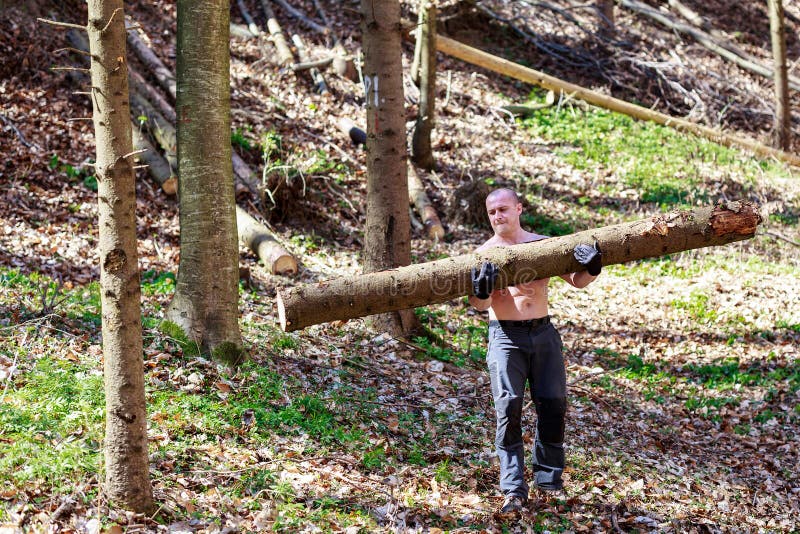 Strong Man Carrying a Tree Trunk Stock Photo - Image of hardworking ...