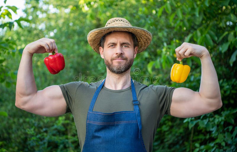 Strong Man Greengrocer in Straw Hat with Sweet Pepper Stock Image ...