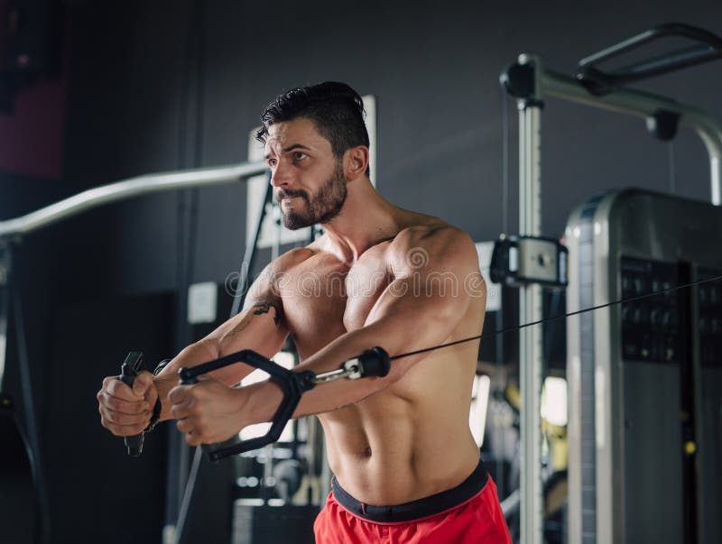 Strong Man in the Gym Doing Chest Exercises Stock Photo - Image of ...