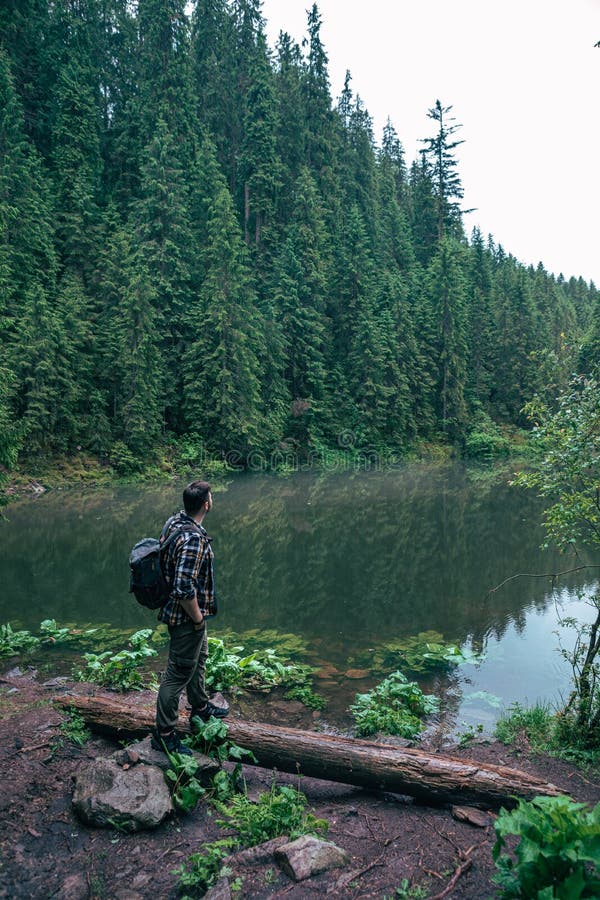 Strong Man Hiker Looking at Mountain Lake Stock Photo - Image of pine ...