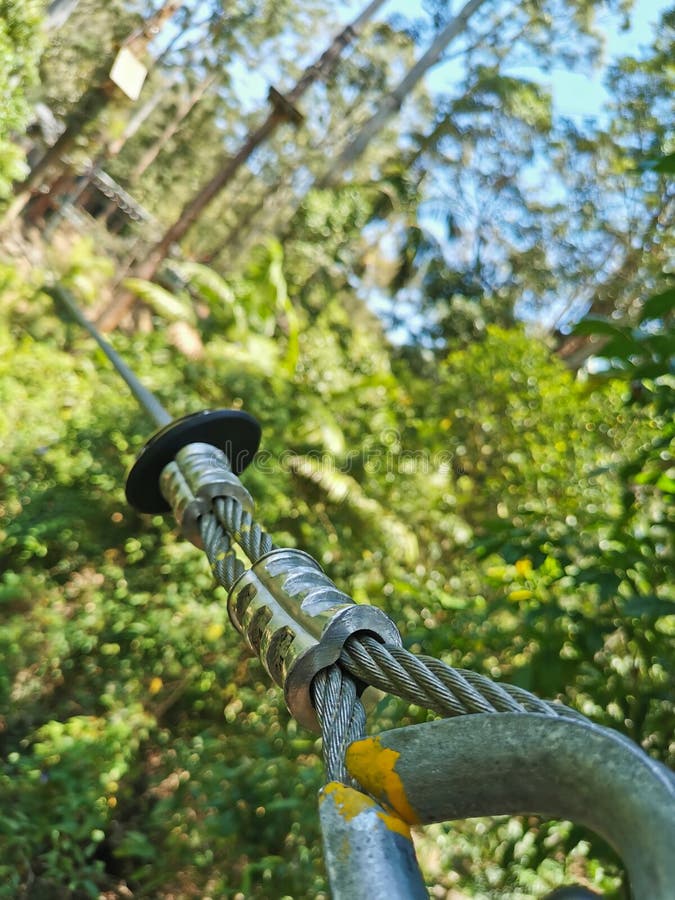 Strong Metal String Cable Connected between Trees for Gliding in Forest ...
