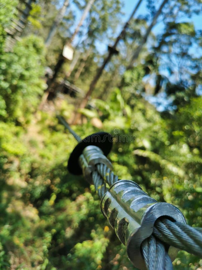 Strong Metal String Cable Connected between Trees for Gliding in Forest ...