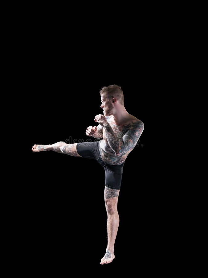 Young and Strong American Football Players on Green Grass Stock Image ...