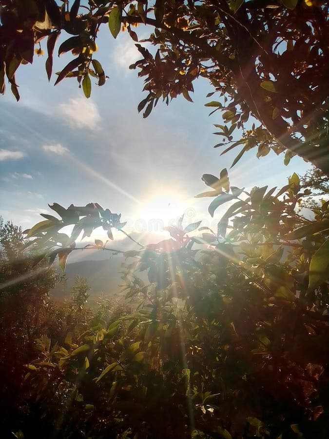 Strong Morning Sun Rays on the Nature, July 2022 in Kenya Stock Image ...