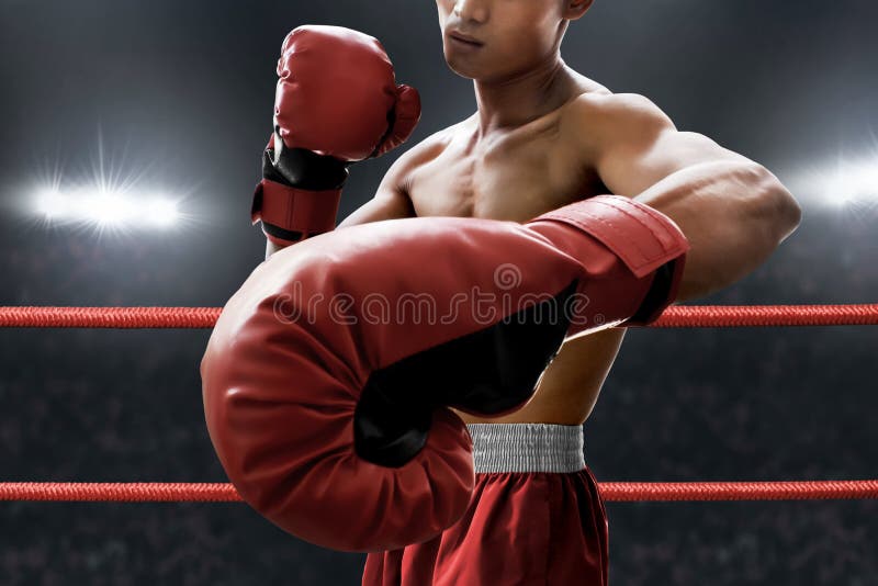 Strong Muscular Boxer on the Ring Stock Image - Image of athlete, body ...