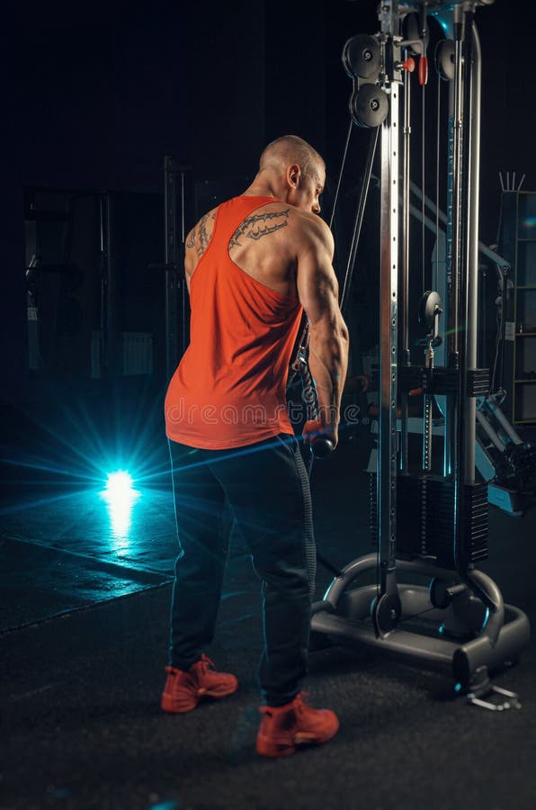 Strong Muscular Man Trains in the Gym Stock Image - Image of ...