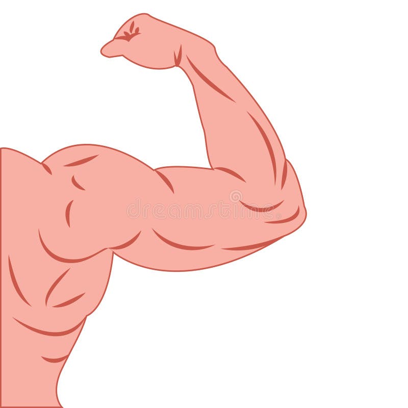 8+ Strong arms vector Free Stock Photos - StockFreeImages