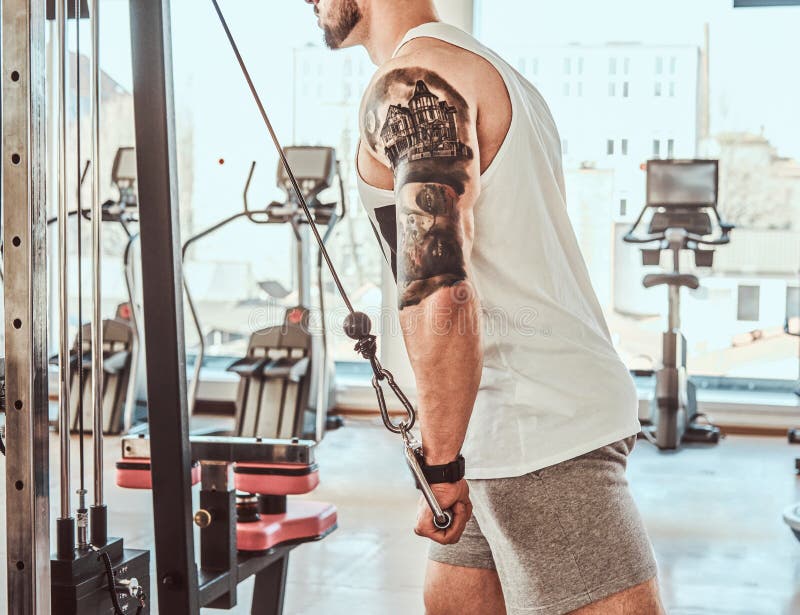 Strong Powerful Man is Doing Exercises for Arms with Training Apparatus ...