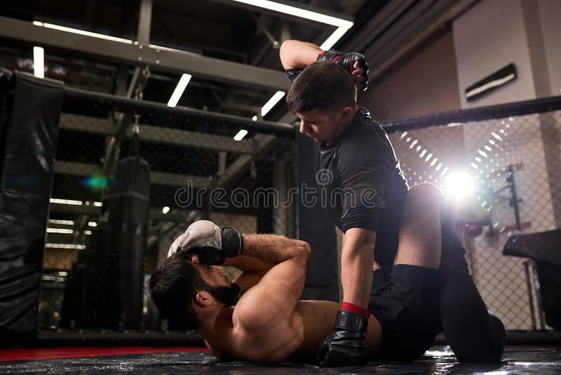 Strong Professional Mma Fighters Boxing In Action Muscular Athletes