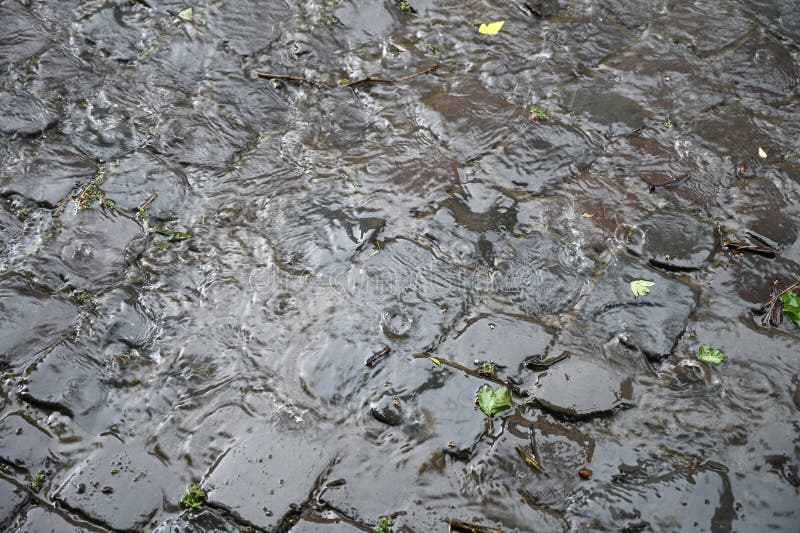 Strong rain in the city stock image. Image of city, flood - 283603941