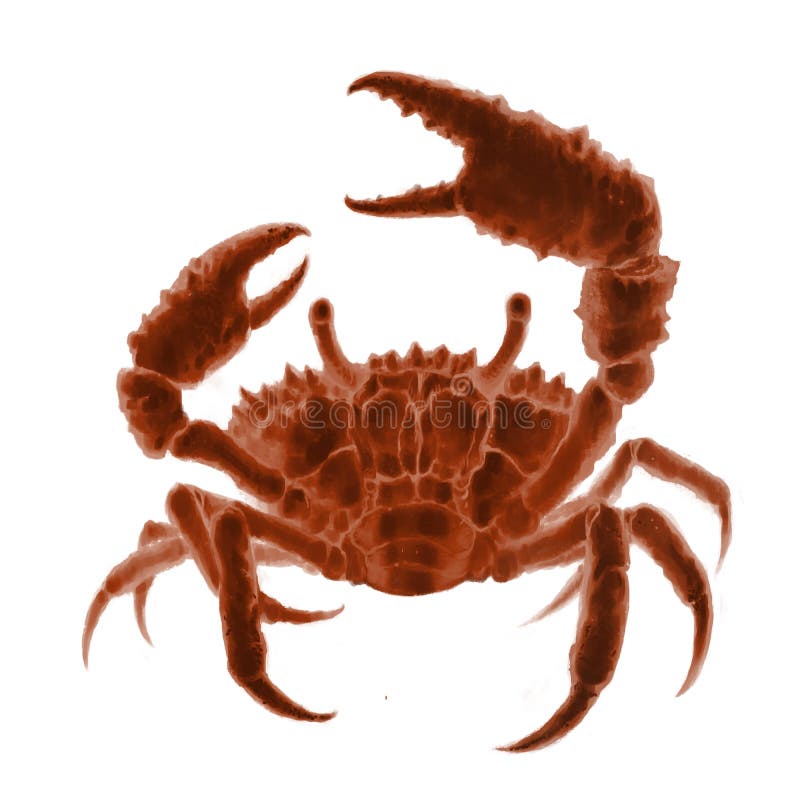 Strong Red Crab with a Large Claw in a Protective Pose. Stock ...
