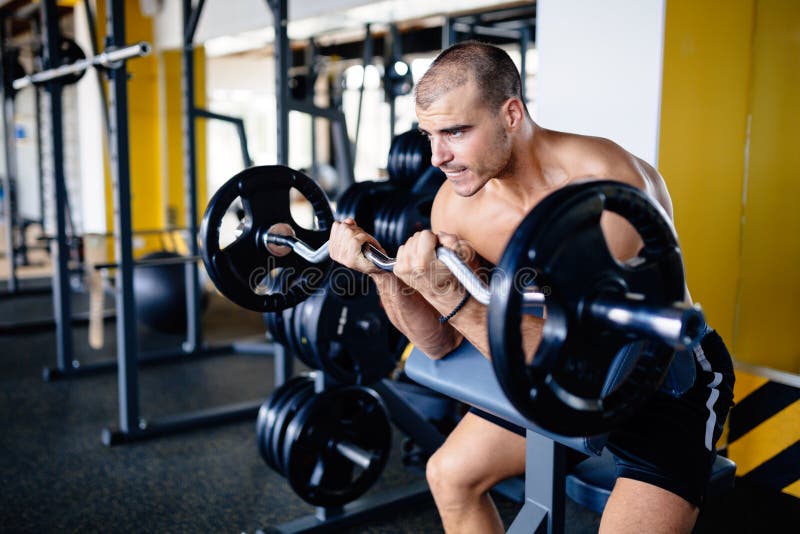 Strong Ripped Man Training in Gym Stock Image - Image of club, exercise ...