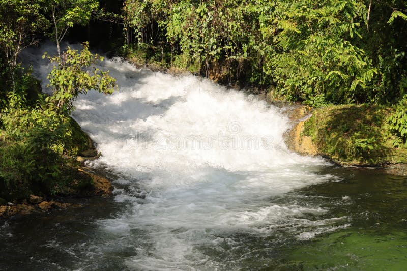 Strong River Current from the Forest Stock Image - Image of tourism ...