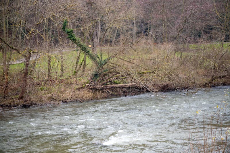 Strong River Current with Lots of Rocks and Shrubs in Winter Stock ...