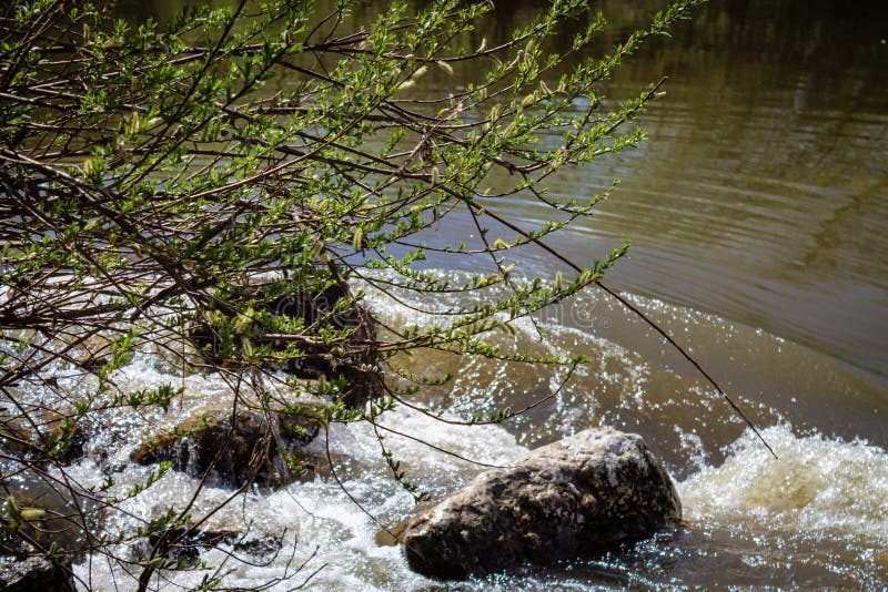 Strong River Current, Splash of Water, Close-up Waves. Stock Image ...