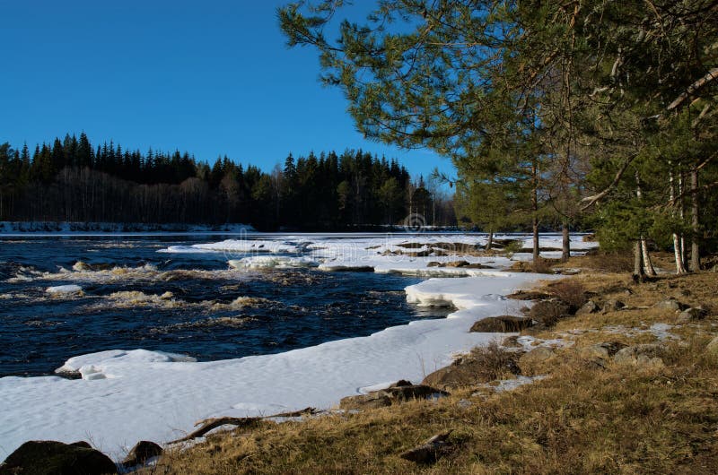 Strong river in Dalarna stock photo. Image of river - 242304210