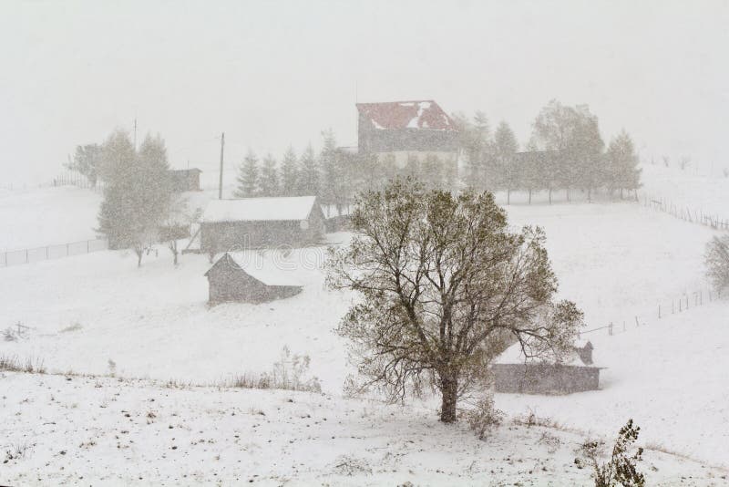 Strong snowfall stock photo. Image of side, cover, trekking - 21675528