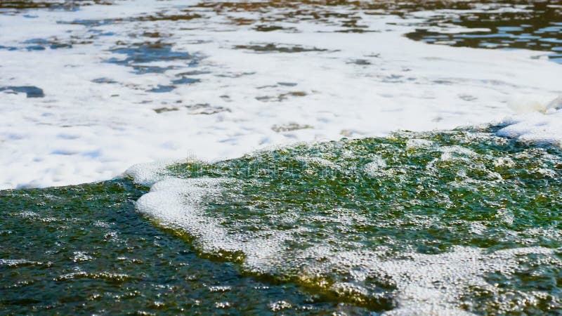 Strong Stream of River Water Close-up, Mountain River Flows, Stream ...