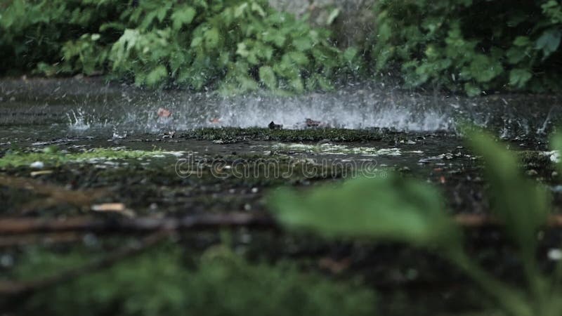 A Strong Stream of Water Splashes Against the Ground. Thunderstorm ...
