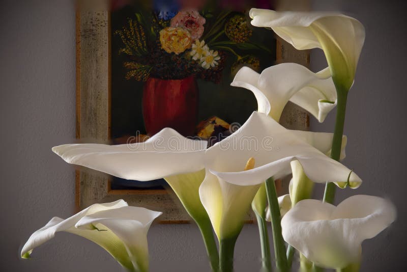 Diffuse Polka Dot Lights Flower of Aisolated on a Beautiful Background ...