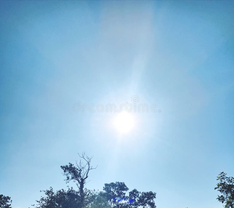 20,627 Strong Sunlight Photos - Free & Royalty-Free Stock Photos from ...