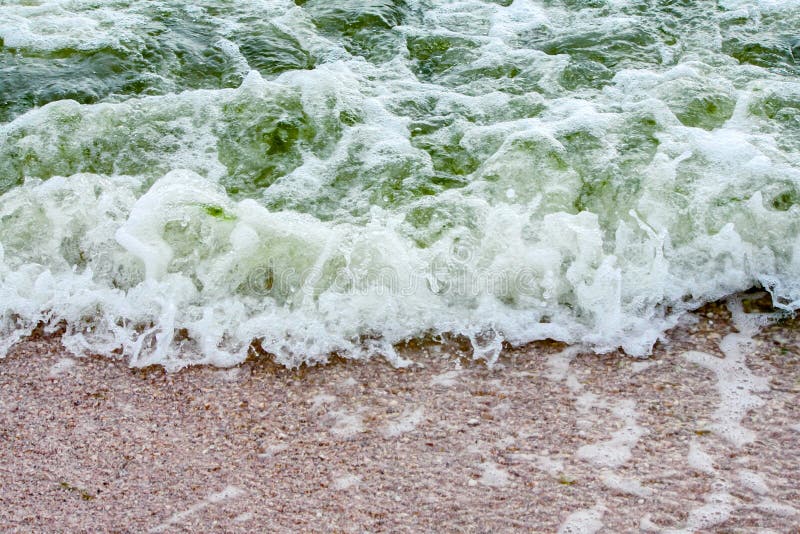 Strong Waves with Algae Crash Over the Beach at Sea of Azov Stock Photo ...