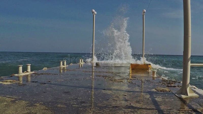 Waves Strike the Shell Which Lies on the Beach Stock Footage - Video of ...