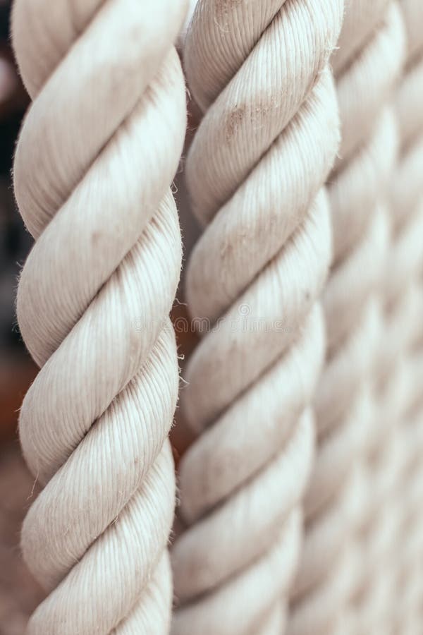 Strong White Ropes Weigh Upright Stock Photo - Image of object, white ...