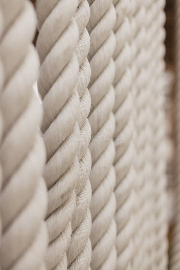 Strong White Ropes Weigh Upright on White Background Stock Photo ...
