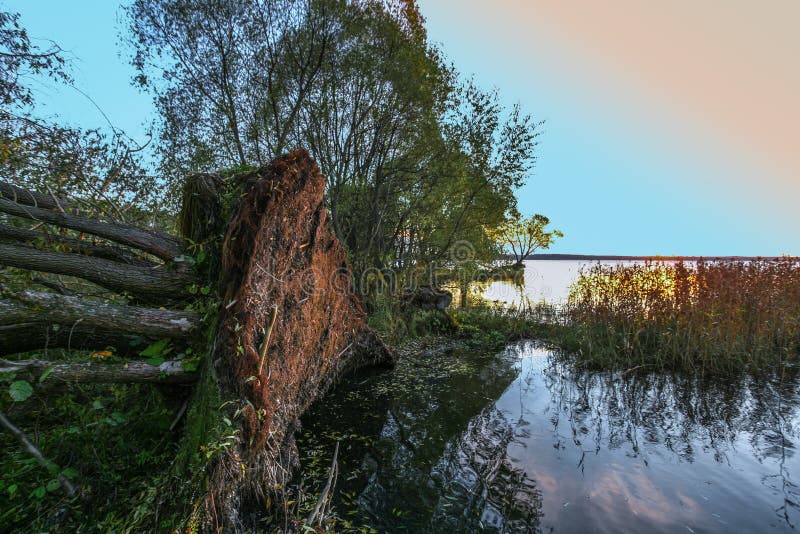 After strong wind stock photo. Image of weather, fall - 80280692