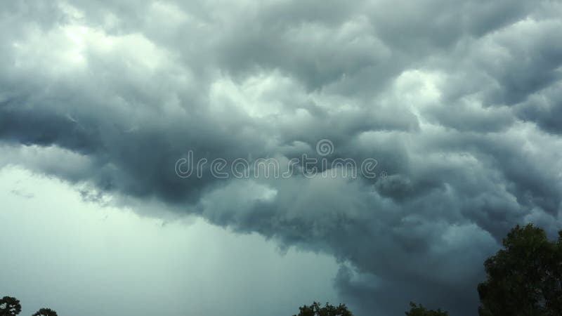 Strong Wind Shaking Trees. View of the Lightning in Storm Clouds Stock ...