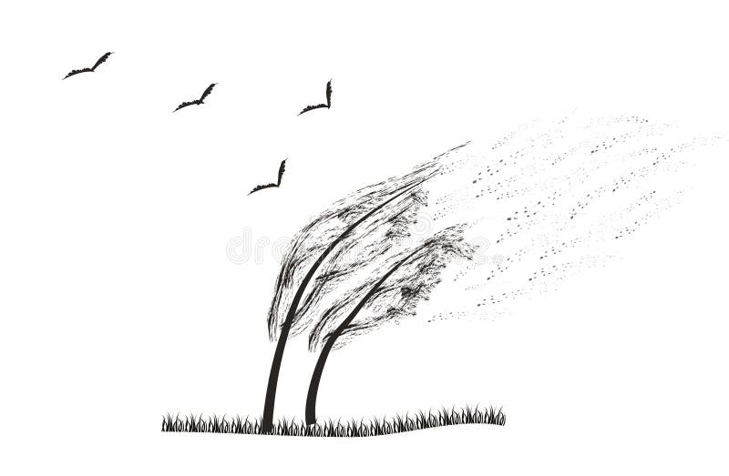 Strong Wind, Tree with Leaves and Birds Stock Illustration ...