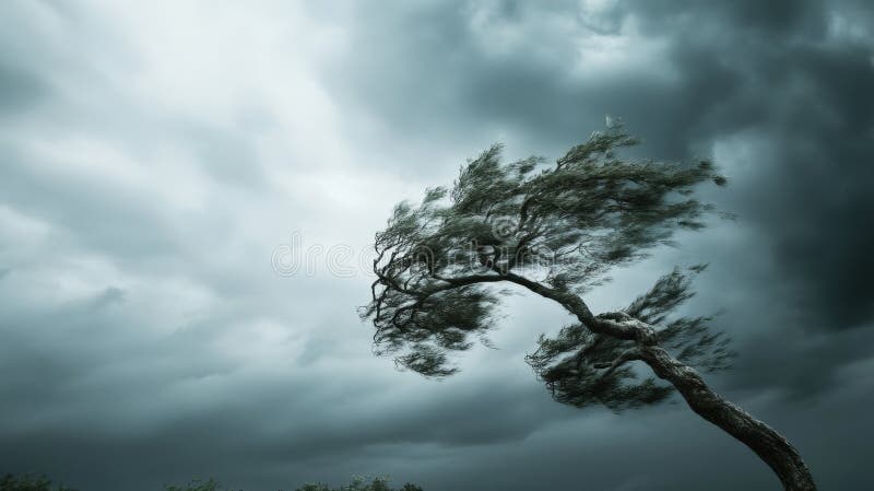 Strong Winds Bending a Lone Tree during a Powerful Storm by the ...