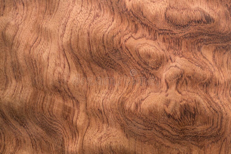 Strong wood texture stock image. Image of wooden, wood - 48357743