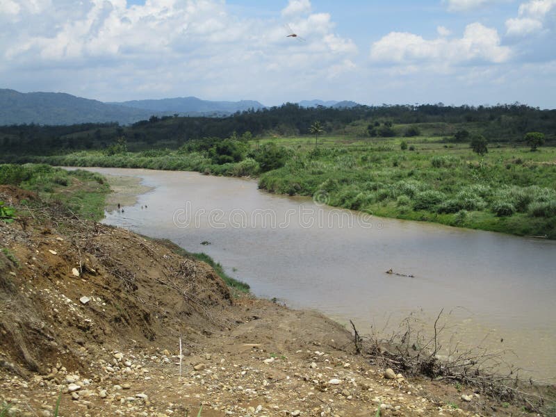 A Huge Tree that is Hundreds of Years Old Stock Photo - Image of ...