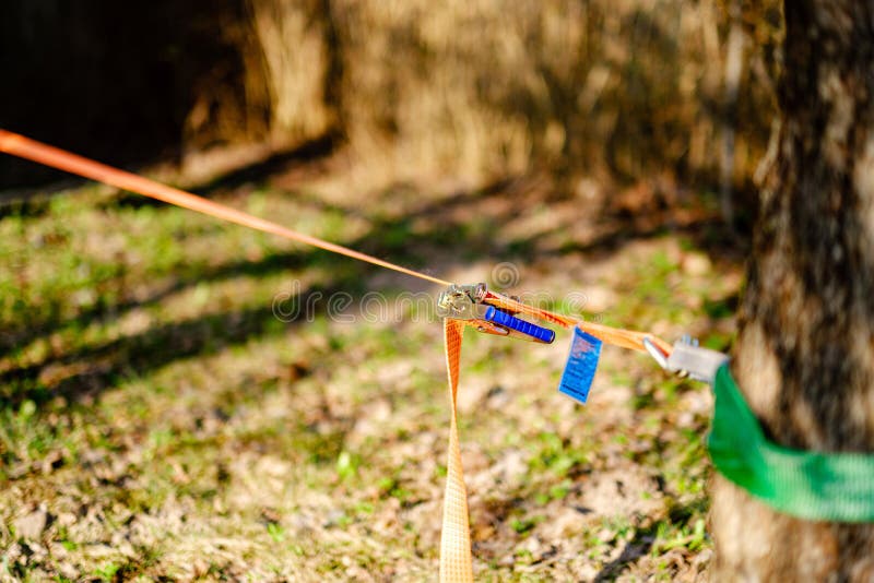 Strope for Wire Walking Stretched between Trees Stock Image - Image of ...