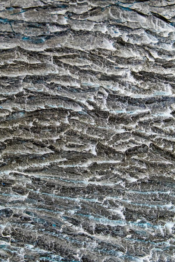 The Structural Background of the Bark of an Unusual Tree Stock Image ...