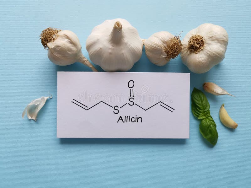 Structural Chemical Formula of Allicin Molecule with Raw Garlic. Health ...