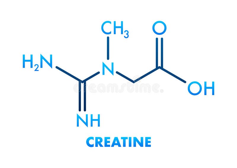 Skeletal Formula of Creatine Showing Nitrogen, Hydrogen, Carbon and ...